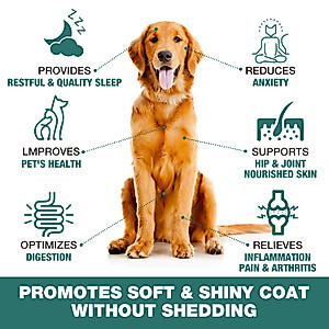 Pet Hemp Oil for Dogs & Cats Calming Joint Pain Sleep Support Anxiety Stress Cough Inflammation Relief Skin Arthritis Care Hip & Joint Supplement Dog Cat Hemp Drops Tincture, Mandarin