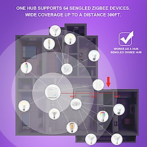 Sengled Zigbee Smart Light Bulbs, Smart Hub Required, Works with SmartThings and Echo with Built-in Hub, Voice Control with Alexa and Google Home, Color Changing 60W Eqv. A19 Alexa Light Bulb, 3 Pack