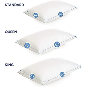 Continental Bedding - Siberian White Goose Down Pillow - Standard Size Soft Luxury Pillow for Sleeping - 800 Fill Power - Perfect Level of Softness - Great for Side, Back & Stomach Sleepers