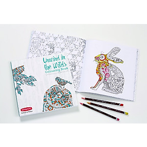 Adult Coloring Book and Coloursoft Colored Pencils: Color and Relax - Unwind in the Wilds by Derwent (2302339)