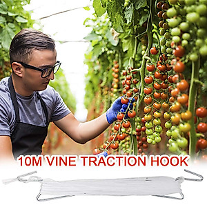 DAMEING Plant Climbing Hooks, Tomato Support J Hook Garden Hooks to Prevent Tomatoes from Pinching or Falling Off (20Pcs)