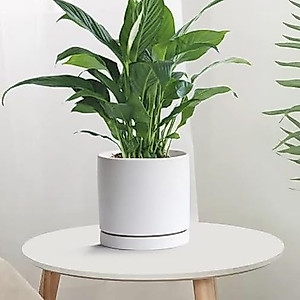 Yukfona Ceramic Plant Saucer Pot Tray 10 Inch, Planter Saucers 4 5 6 7 8 9 10 11 12 13 Inch for Indoors Outdoor, Durable Sturdy Flower Drainage drip Water Tray for Glazed Pots Base (10.7 Inch-White)