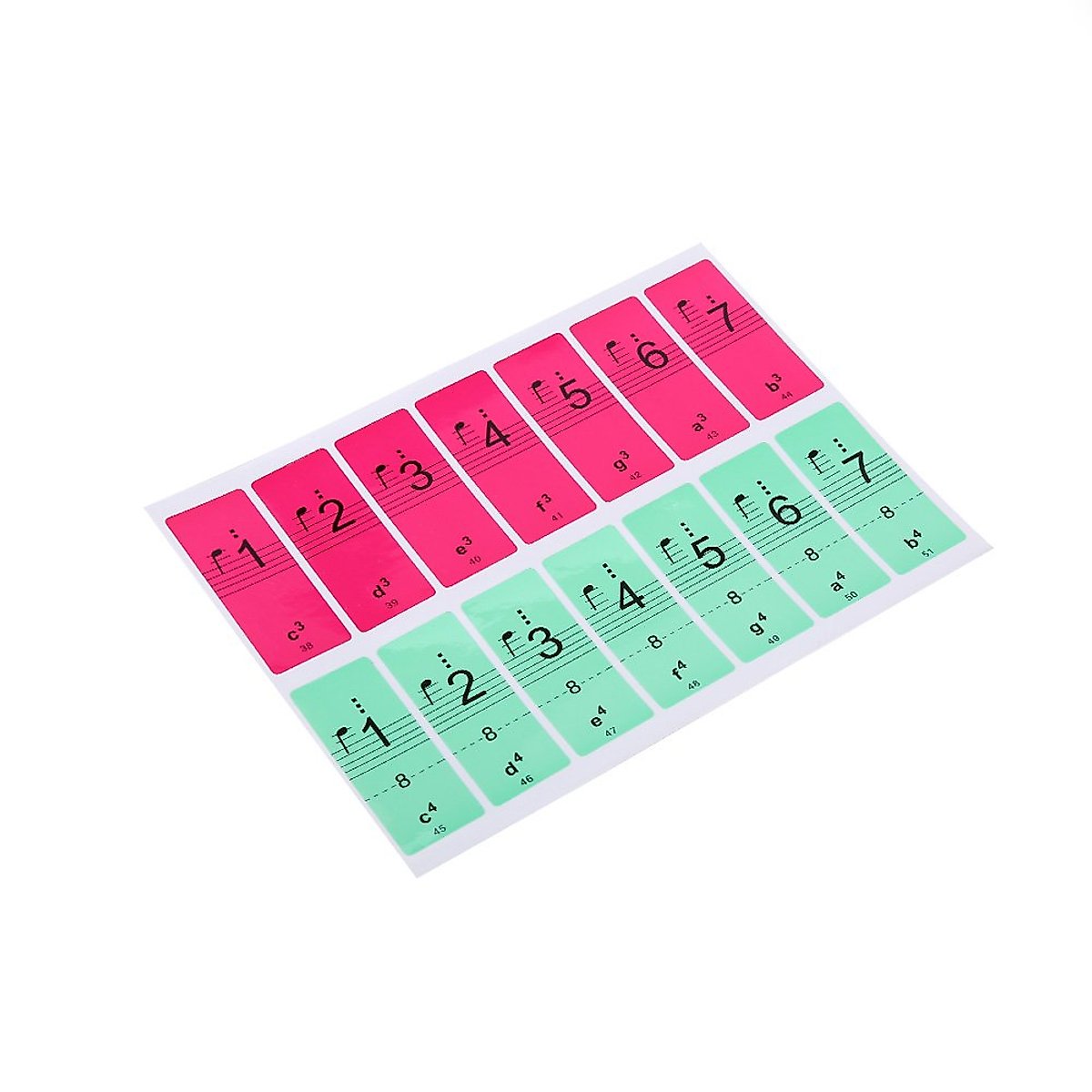 Removable Piano Stickers,Electronic Keyboard Note Keys Stickers Labels For 49/61 / 76/88 Key Keyboards For Kids And Beginners Learning Piano Or Keyboard (Multicolor) Keyboard Tasche Piano Keyb