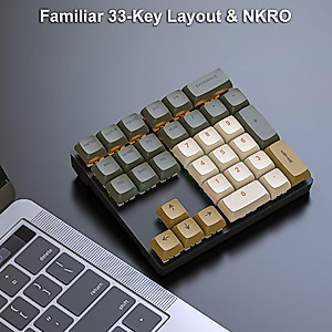 LINKEET Mechanical Numpad Rainbow Backlit Clicky Blue Switches Wired USB Number Pad 33-Key NKRO Numeric Keypad with XDA PBT Keycaps External Keyboard Num Pad for Laptop, Mac - Brown Grey
