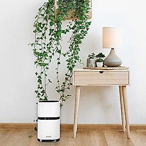 Comfort Zone CZAP102WT H13 Clean Compact HEPA Air Purifier, 12-hour Timer, 150-square feet, Removes Allergens, Dust, and Pollutants, Promotes Healthy Air Quality in your Home or Office