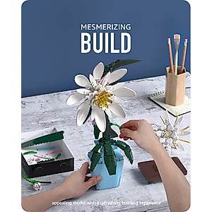 Nifeliz Epiphyllum Display Model, Flower Building Toy, Home Decor for Adult Plant Lovers and Gift Giver (678 Pieces)