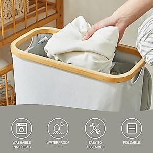 48L Slim Laundry Hamper with Lid, Tall Laundry Basket with Removable Bag, Narrow Clothes Hamper for Corner, Foldable Storage Basket with Lid for Laundry Room, Bedroom, Toys & Blankets, Grey
