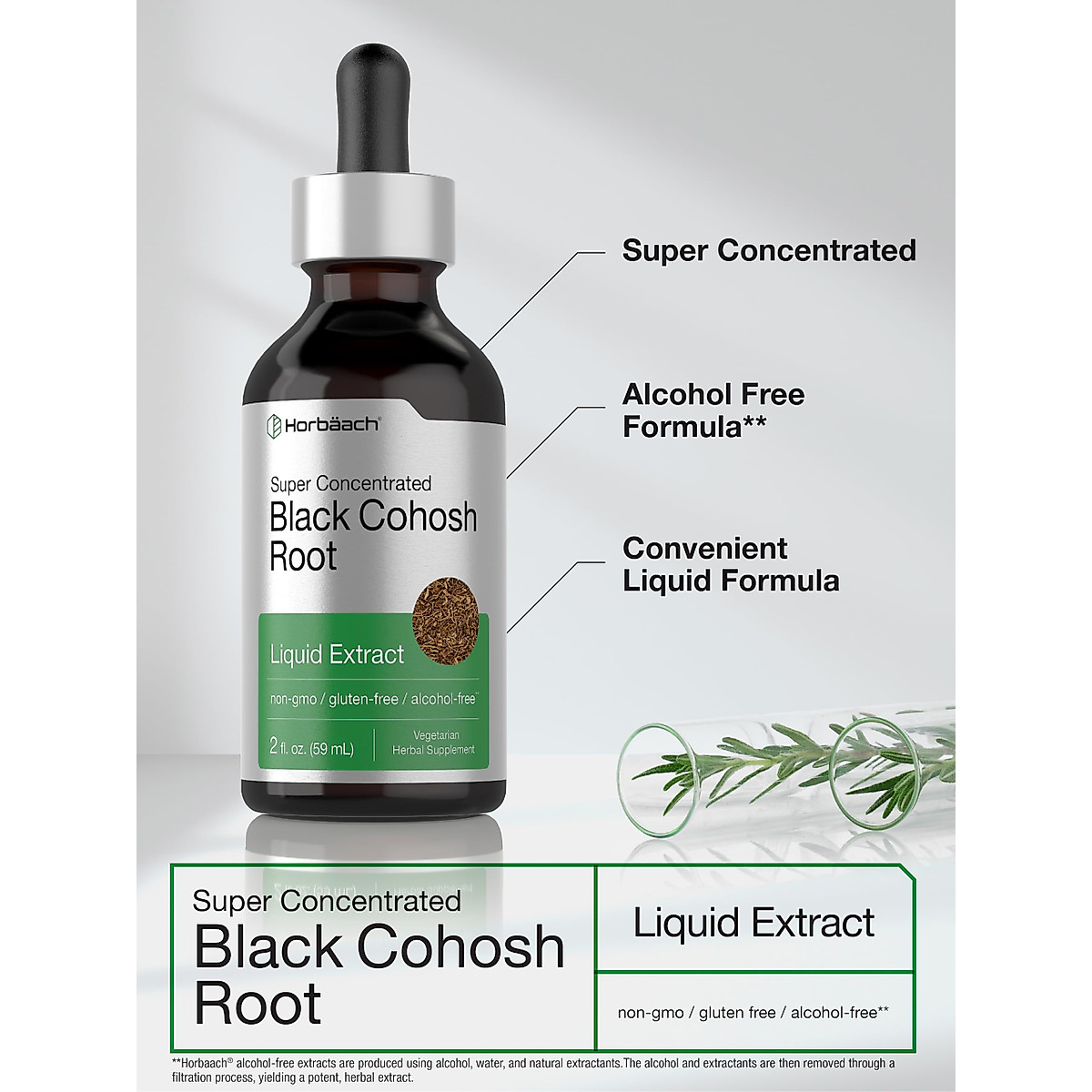 Horbäach Black Cohosh Root Tincture | 2 fl oz | Liquid Extract | Alcohol Free Herb Drops | Vegetarian | Non-GMO, Gluten Free Supplement