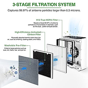 2 Pack Vital 100 True HEPA Replacement Filter Compatible with LEVOIT Vital 100 Air Purifier, 3-in-1 H13 Ture HEPA and High-Efficiency Activated Carbon Filters, Replace Part # Vital 100-RF