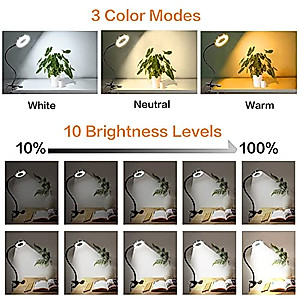 Desk Lamp Clip on Light, Desk Light 48 LED Lamp with 3 Lighting Modes, Dimmable 10 Brightness Levels, 360° Adjustable Gooseneck, Eye-Caring Small Lamp for Bed Headboard Reading Makeup Eyebrow (Black)