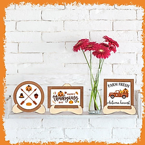 Bokon 30 Pcs Tiered Tray Decor Set for Christmas Winter Interchangeable Farmhouse Tiered Tray Decorations with Wood Frames Thanksgiving Halloween Fall Seasonal Wooden Sign for Holiday Table Home Decor