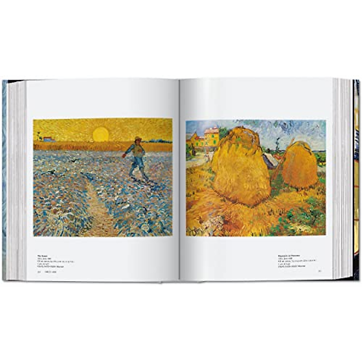 Van Gogh: The Complete Paintings