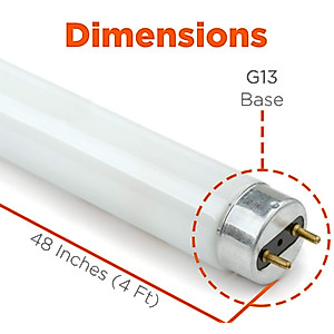 GoodBulb 48-Inch T8 Fluorescent Light Bulbs 32-Watt, 5000K Daylight White Color, 2900-Lumens, G13 Medium Bi-Pin Base (Pack of 25 Bulbs)