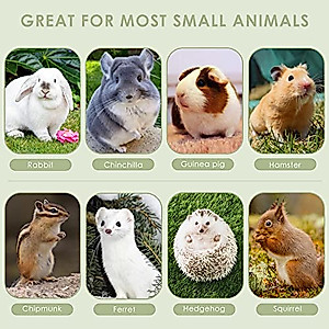 ERKOON Chinchilla Treats, Chew Toys for Teeth for Rabbit Guinea Pig Gerbil Rat Dwarf Hamster(Small Size)