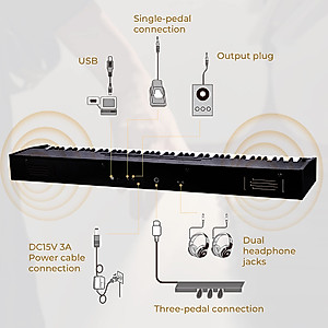 Lexington 88 Key Beginner Digital Piano Weighted for Adults Kids, Portable Wooden Electric Piano Keyboard Full Size with Graded Hammer Action, Sustain Pedal and Power Supply, Black