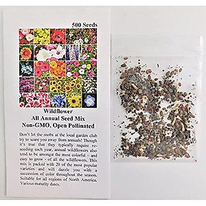 David's Garden Seeds Wildflower All Annual Seed Mix FBA-00091 (Multi) 200 Non-GMO, Heirloom Seeds