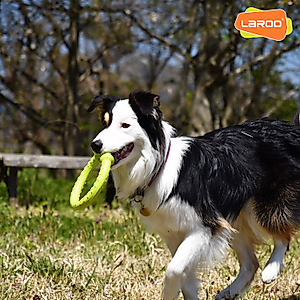 LaRoo Dog Flying Ring Toys, Floating Flying Disc ABS Durable Interactive Chew Toys for Training Outdoor Playing Puppy Medium Large Dogs (Small Green/18cm)