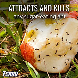 Terro T1812 Outdoor Liquid Ant Baits - 6 Pack