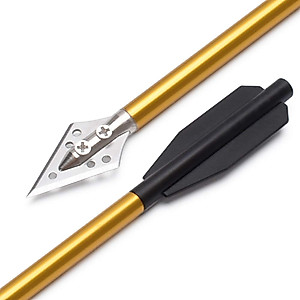 Bow and arrow college Mini Crossbow Bolts Miniature Crossbows Arrows Gold Aluminum Body with Screw Tip Broadhead(Pack of 3)