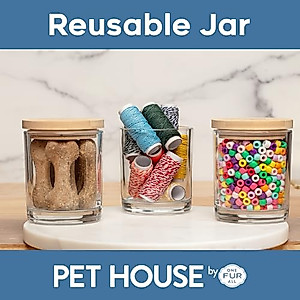 One Fur All Pet House Candle Plant-Based/Soy Candle - Clean Burning Scented Candles, Long Lasting Pet Odor Candle for Home - Mango Peach