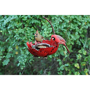 Desert Steel Coral Sunset Peony Hanging Feeder - (Orange - 9”W x 11.5”H) - Loose Seed Metal Birdfeeder