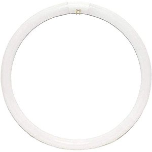 GE 6 Pieces 11052 FC16T9/D 40 Watts 16 Inches 4 Pin Long Circular T9 Fluorescent Tube Light Bulb