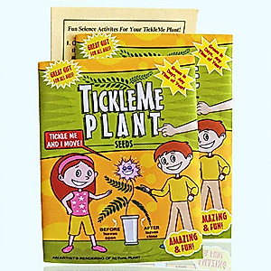 TickleMe Plant Seeds Packets (2) Party Favor! Leaves Fold Together When You Tickle It. Great Science Fun, Easy to Grow Indoors. It Can Flower. Include 10 Activities. Re-Opens in Minutes!