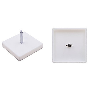 Foot Joint Model Human Foot Ankle Joint Model with Ligament Medical Science Life Size