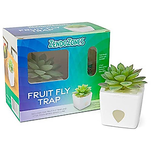 ZendoZones Fruit Fly Trap 2 Pack, Joyful Janet & Terrific Tabitha with White Base, Refillable and Reusable, Long-Lasting