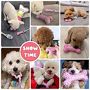 BAEJMJK 5 Pack Puppy Teething Toys Cute Pink Dog Chew Toys for Small Dogs Soft Rubber Puppy Toys Set Plush Squeaky Dog Toys for Cleaning Teeth Interactive Pet Doggy Bone Toys