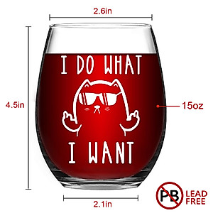 I Do What I Want Funny Wine Glass, Cat Stemless Wine Glass - Cat Lover Gifts for Women, Men, Cat Dad, Cat Mom, Cat Lover, Friends - Gift Idea for Christmas, Birthday