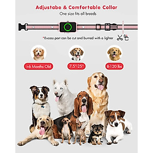 Haoteful Dog Shock Collar with Remote 2600FT, Shock Collar for Large Dog, Medium Small Dogs 8-120lbs, Electric Dog Training Collar with 3 Modes Beep, Vibration, Static Shock, Security Lock (Pink)