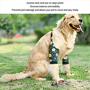 AYNEFY Dog Front Legs Recovery Suit,Soft Dog Protective Elbow Braces Dog Recovery Sleeves After Surgery with Elastic Band for Pet Wounds Prevent Licking Bite Being Wet and Infected (XL)