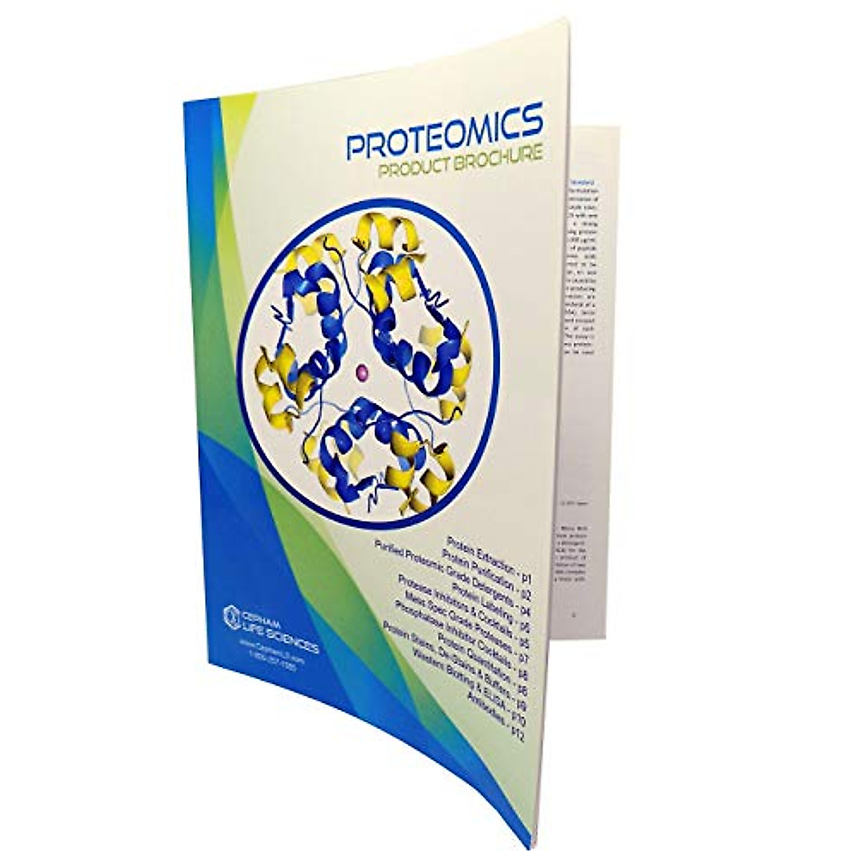 Bicinchoninic Acid (BCA) Protein Assay w/BSA Protein Standard, 500 Assays/ 2500 Micro-assays, Colorimetric- by Cepham Life Sciences