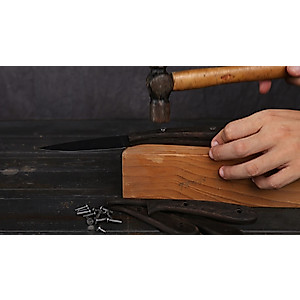 TOUCAN Black Paring Knife – Professional Kitchen Knife for Fruits and Vegetables – Premium Stainless Steel with Ergonomic Handle – 4-inch Blade for Chopping, Cutting, Peeling