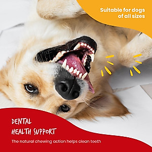 Beefeaters Dog Treats - Triple Flavor Ribs 1.65oz Case of 12 | Rawhide Dog Treats Wrapped with Real Chicken | Promotes Dental Health | Dog Food Long-Lasting Chew | Training Treats for All Dog Sizes