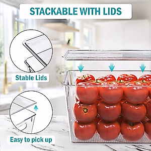 YAN & HIN 10pcs/ Set Clear Large Storage Bins with Lids, Versatile Pantry Storage Solution - Transparent, Stackable, and Durable for Organized Home and Office (11 "L x 7.5" W x 6 "H)