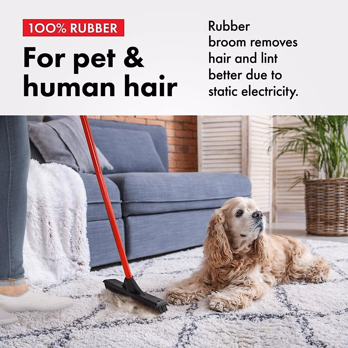 Ravmag Rubber Broom & Squeegee 13 Inch, 100% Natural Rubber. New Aluminum Anti-Rust 4 Part Handle. for Pet & Human Hair. Indoor, Outdoor, Carpets, Floor, Deck. Water Resistant & Washable
