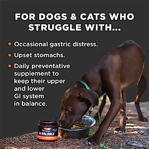 Super Snouts GI Balance Digestive Supplement for Dogs & Cats, 3.1 oz Pumpkin Powder for Dogs & Prebiotic Gut Health, Immune Support