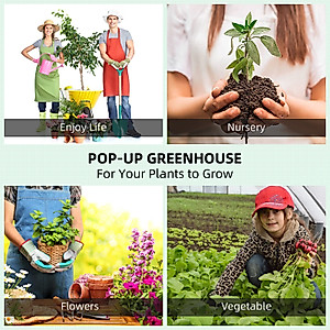 Upgraded Pop-Up Plant Greenhouse for Outdoors with Roll-up Zipper Entry Doors and Windows, Durable PE Cover, Walk-in and Portable Fast Set-up Green House with Ground Pegs & Ropes for Stability