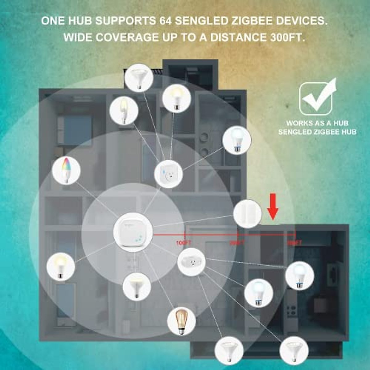 Sengled Zigbee Edison Bulb, Smart Hub Required, Work with SmartThings and Echo with Built-in Hub, Dimmable Filament ST19 LED Smart Vintage Edison Bulb, Voice Activated with Alexa, 2000K/60W Eqv. 2PK