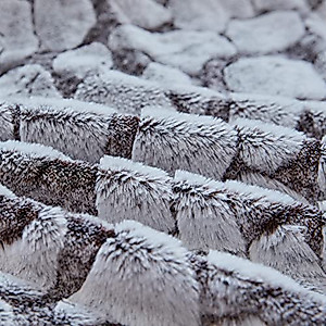 FY FIBER HOUSE Super Soft Rabbit Faux Fur Fleece Throw Blanket Thick Luxurious Faux Fur Plush Warm Fuzzy with Stone Pattern for Bed Sofa, 60"X80", Cappuccino