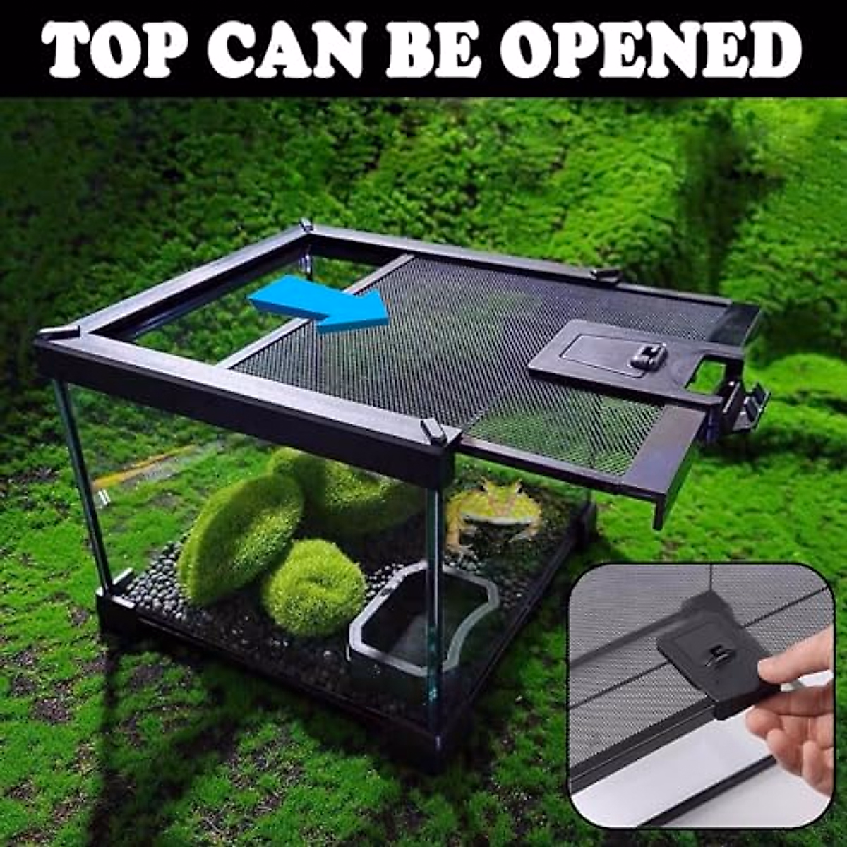 BNOSDM Reptile Tank,8" x 8" x 6" Mini Reptiles Terrarium,Full View Young Lizard Glass Tank,Small Amphibians Habitat Enclosure Cage for Tarantula,Frog,Hermit Crab,Isopods,Insects Breeding Box