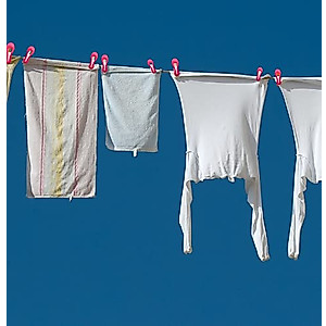 1InTheHome Plastic Hanger Clips, Plastic Clothes Pins, Pink, 24 Pack