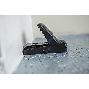 Tomcat Rat Snap Trap, 1-Pack