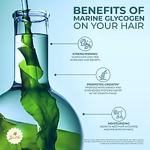 Naissant Energy Treatment Shampoo | Hair Growth Accelerator, Strengthener for Color Treated & Natural Hair | Enriched with Marine Glycogen & Natural Extracts to Prevent Hair Loss (10.1 Fl Oz)