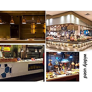 FUNNYBSG Commerical Food Heat Lamp, Retractable Ceiling Heat Lamp, Food Heat Lamp for Steak Pizza, Catering Kitchen Restaurant Chandelier Keep Food Warm