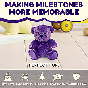 Grandma Smiley's Plush Best Friends Super Color Purple Teddy Bear Stuffed Animal, 9-inch Hypoallergenic Small Teddy Bears for Christmas, Newborn Baby Shower, Girlfriend, Boyfriend, Graduation