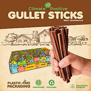 Gullet Sticks 100% Natural Beef Esophagus Dog Chews, 6” Premium Dog Treats for Training Puppies & Adults, Zero Filler or Preservatives, 24 Count