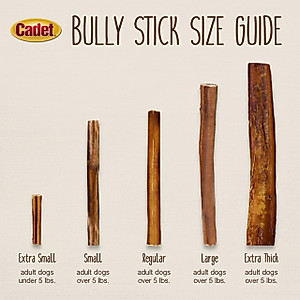Cadet Bully Sticks for Dogs - Long-Lasting Dog Chews - All-Natural Premium Dog Treats Promotes Dental Health